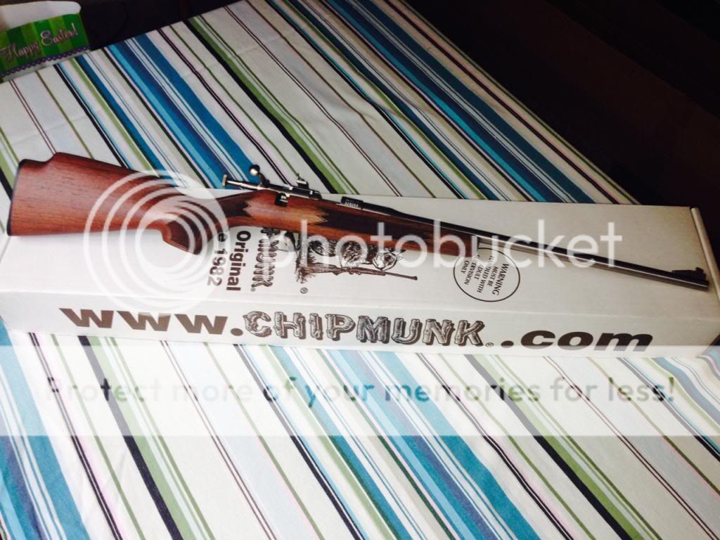 Colt, Sig, Ruger, Browning, GSG and more | Bloodydecks