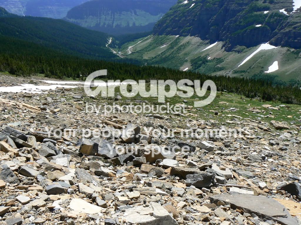 Piegan Pass hike - Glacier National Park Chat